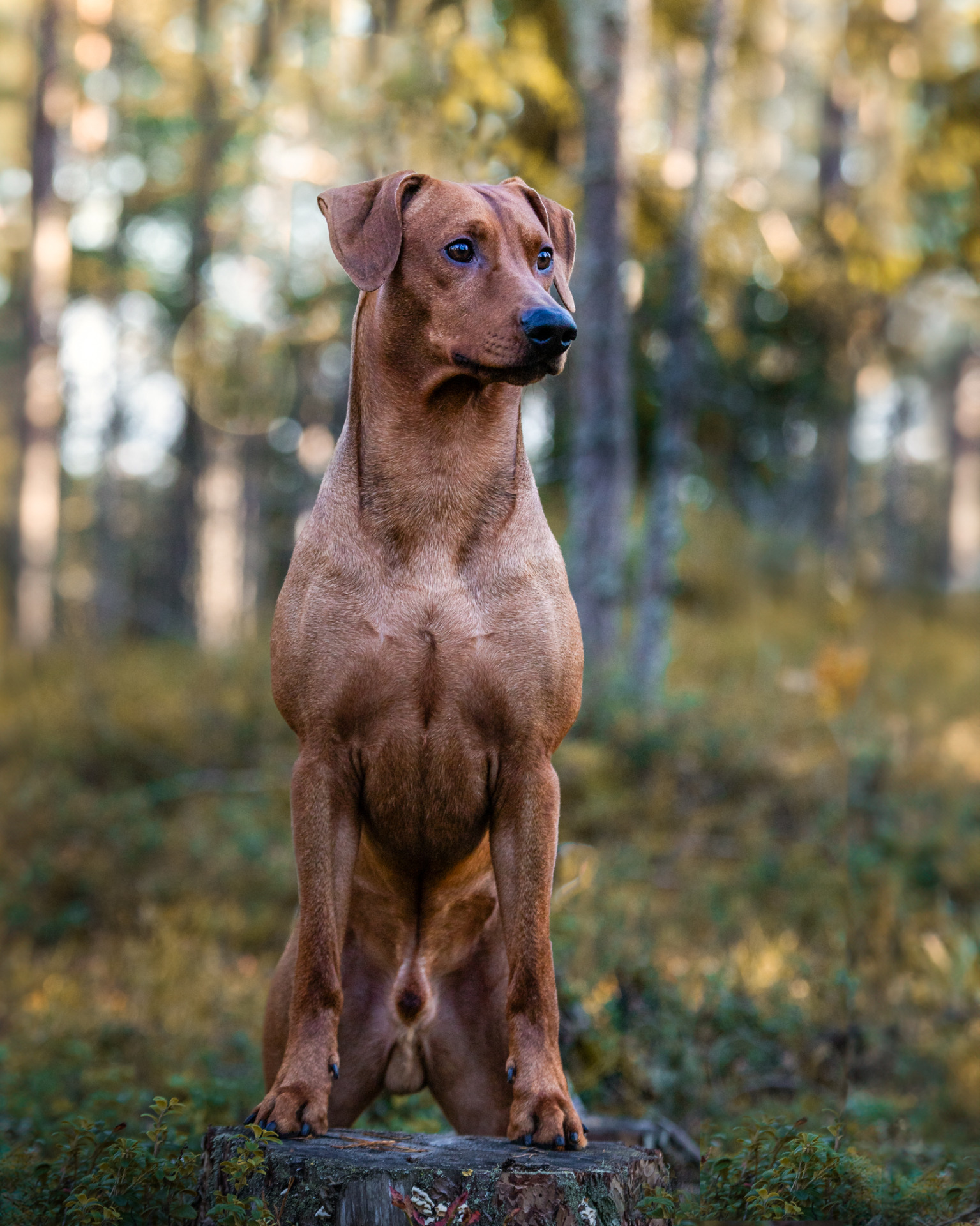 KUVAGALLERIA :: Marski